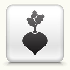 White Square Button with Turnip Icon free image download