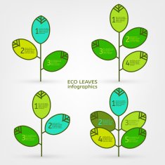 Leaves infographic N14 free image download