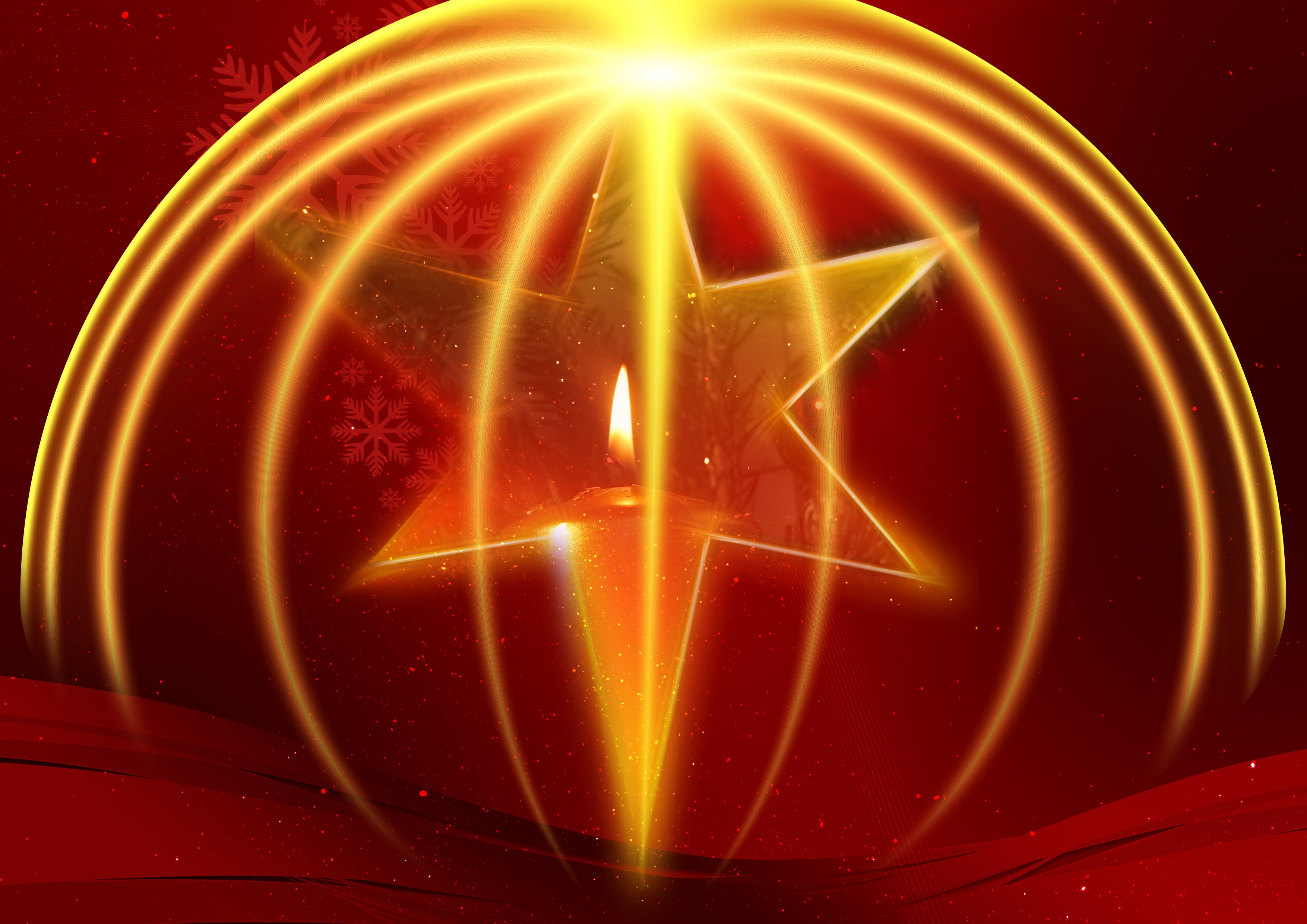 Poinsettia advent star free image download