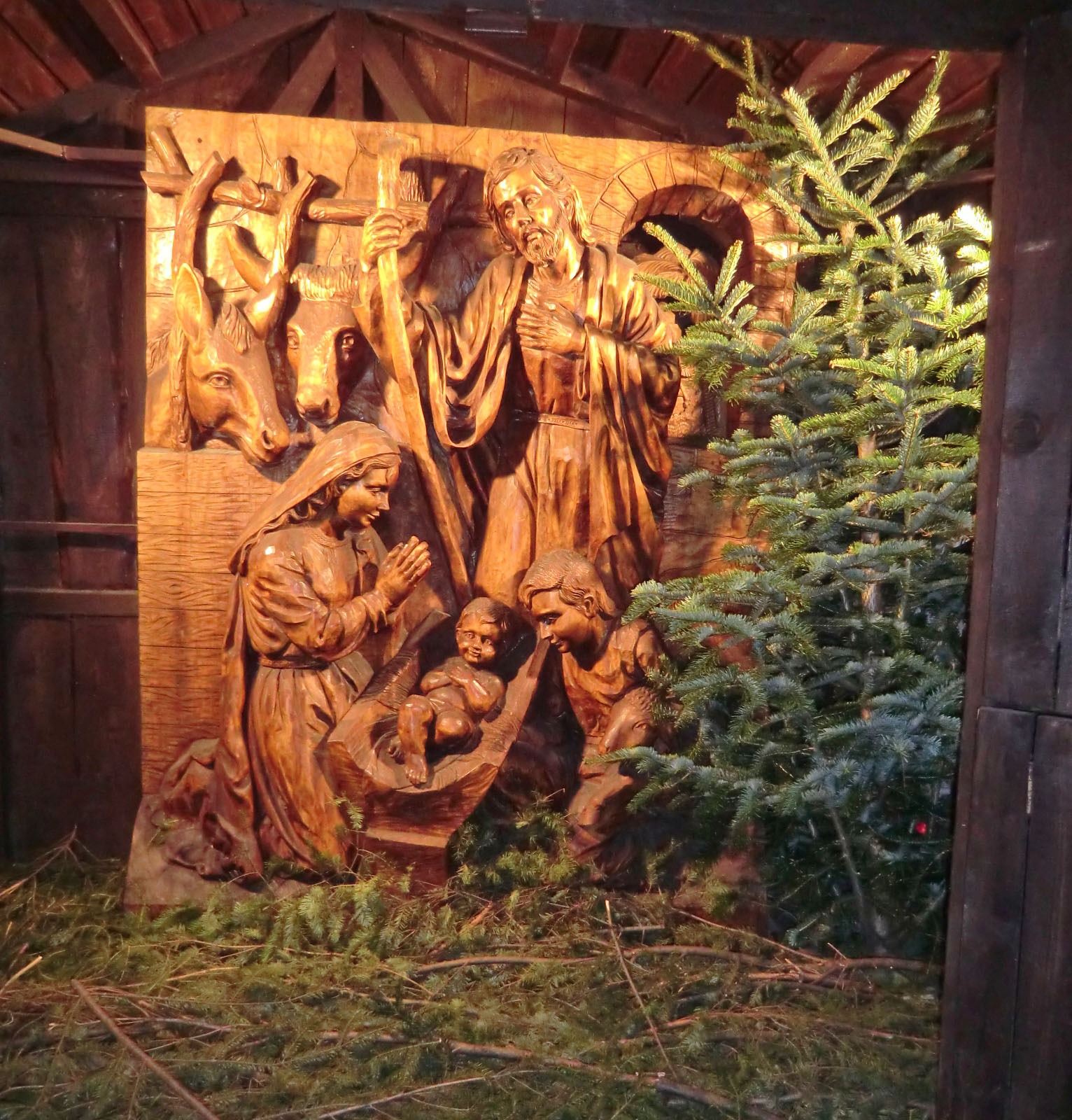 Nativity scene near christmas tree free image download