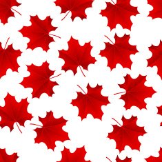 Maple seamless N3 free image download