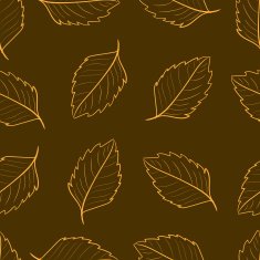 Contours of sharp leaves free image download