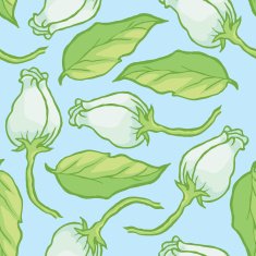 Delicate white flower free image download