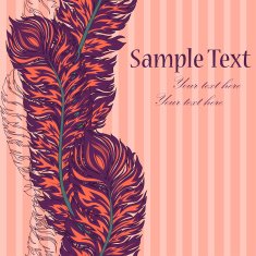 Vector colorful feather border free image download