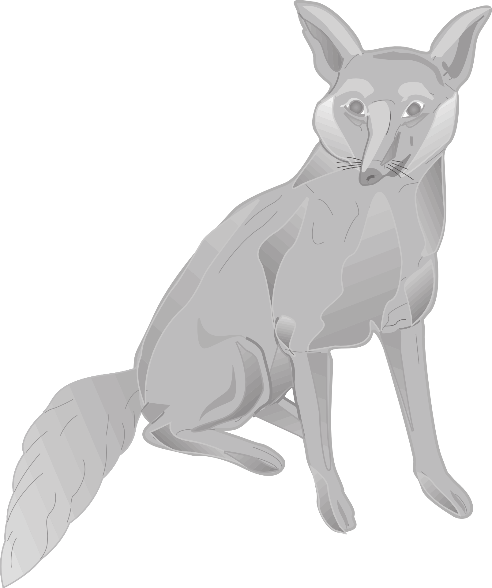 Painted gray fox free image download
