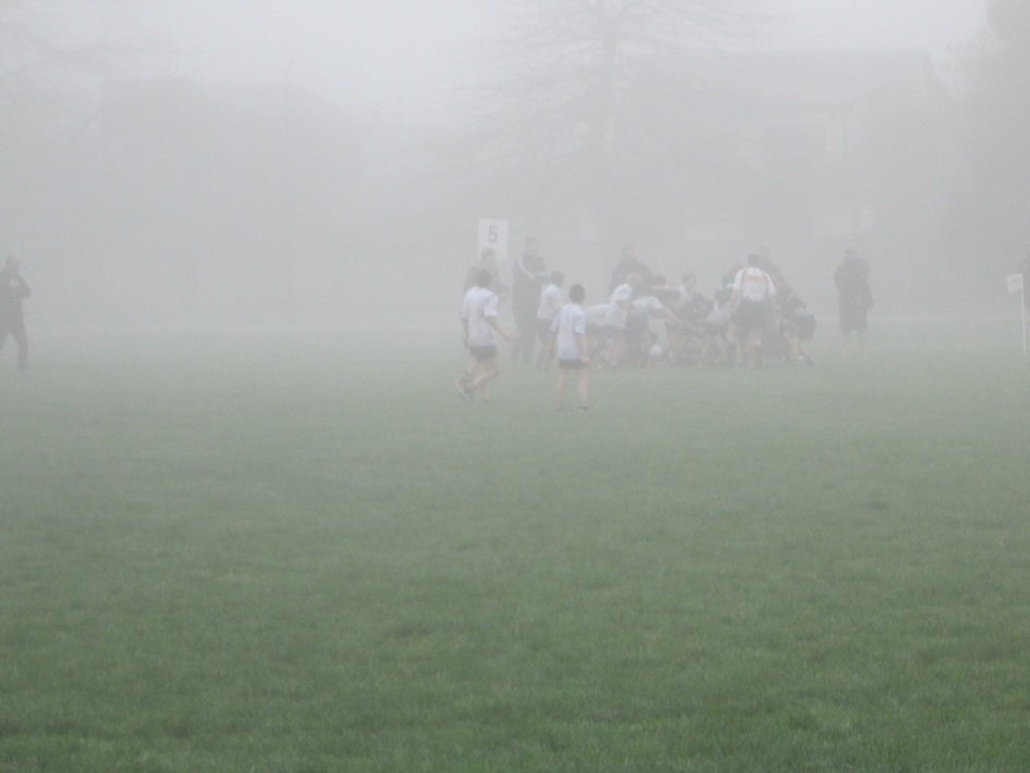 Rugby in fog free image download