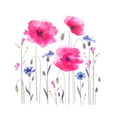 Floral glade free image download
