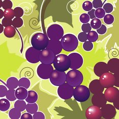 Fresh Taste of Grapes free image download