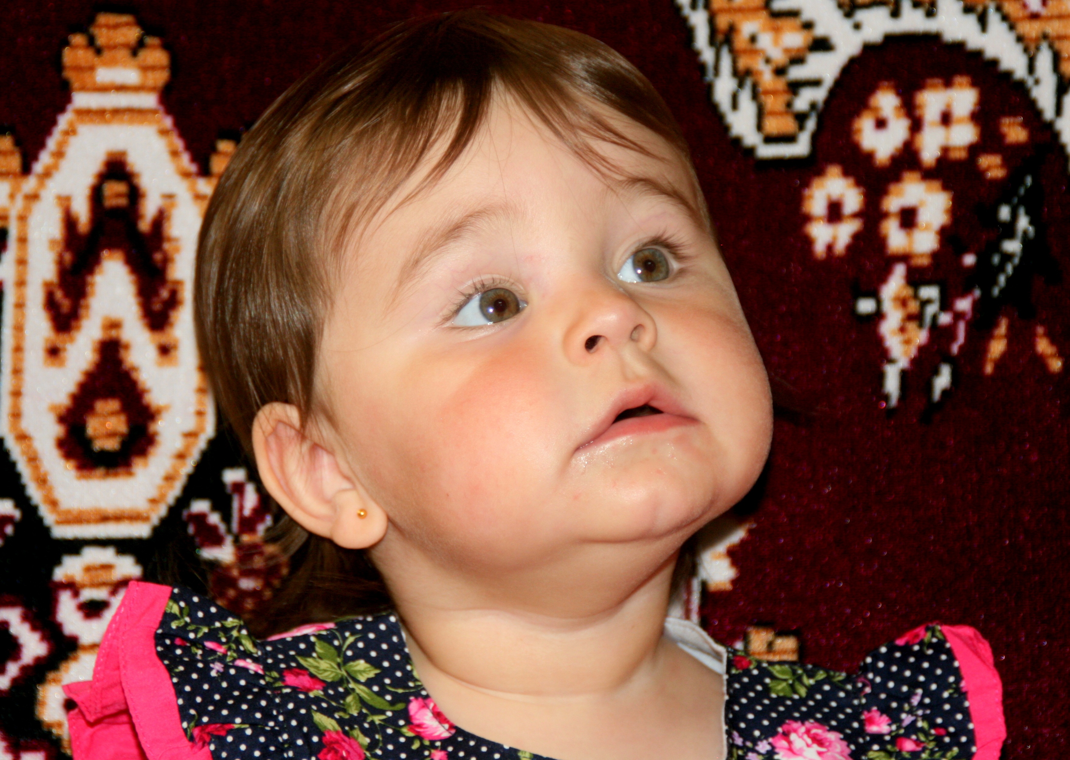 Curious baby girl free image download