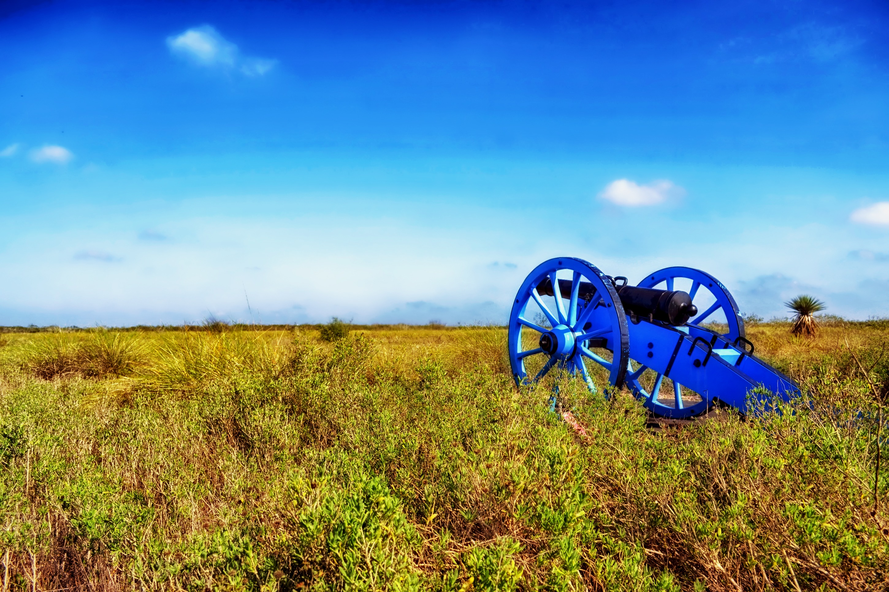 Blue cannon on the battlefield Palo Alto free image download