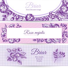 Three horizontal banners with briar free image download