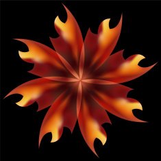Rose petal Fire flaming flower N7 free image download