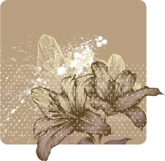 Floral background with blooming royal lilies hand-drawing Vector ...