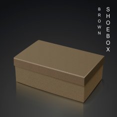 Brown leather shoe box free image download