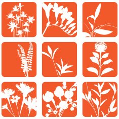 Flower squares free image download