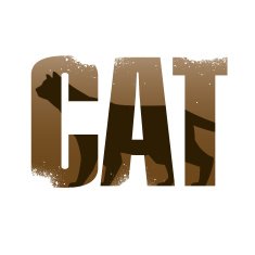 Cat sign free image download