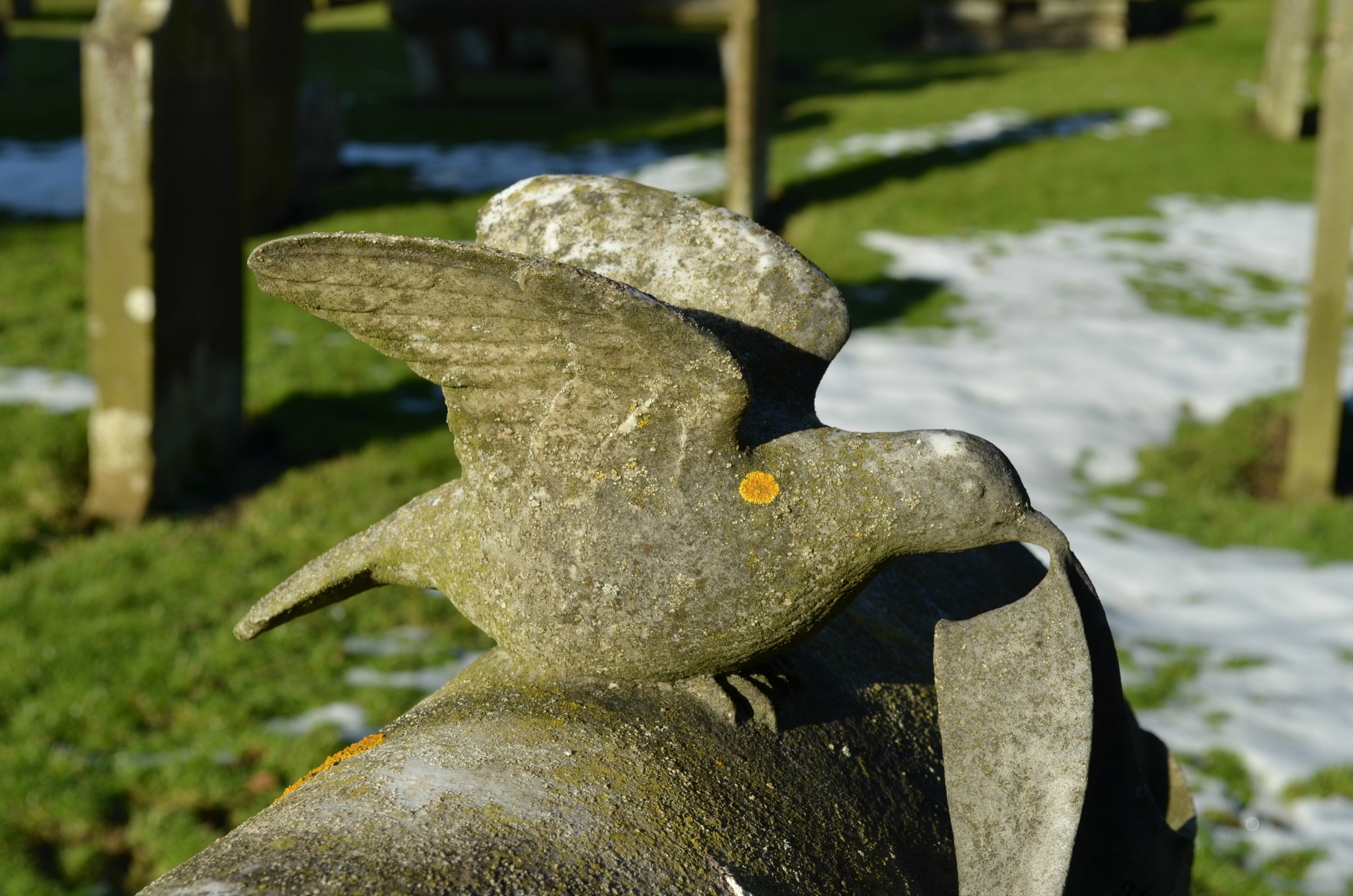 Stone dove statue free image download