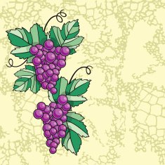 Vid free image download