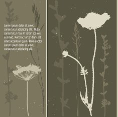 Grey grass free image download