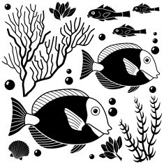 Sea life design elements N6 free image download