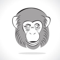 Monkey N43 free image download