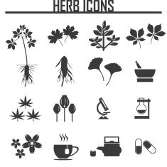 Herb icons vector illustration eps 10 free image download