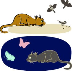 Cat hunter free image download