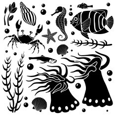 Sea creatures design elements N5 free image download