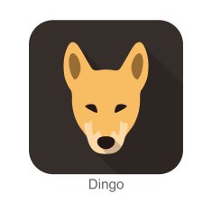 Dingo breed flat icon design free image download