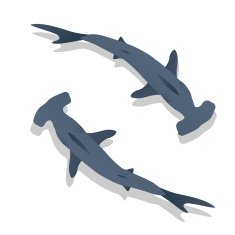 Hammer sharks free image download