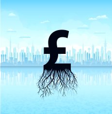 Making Pounds N2 free image download