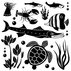 Sea creatures design elements N7 free image download