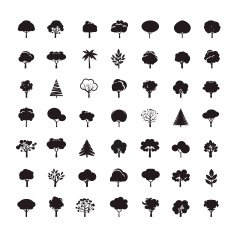 Collection of Black Trees free image download