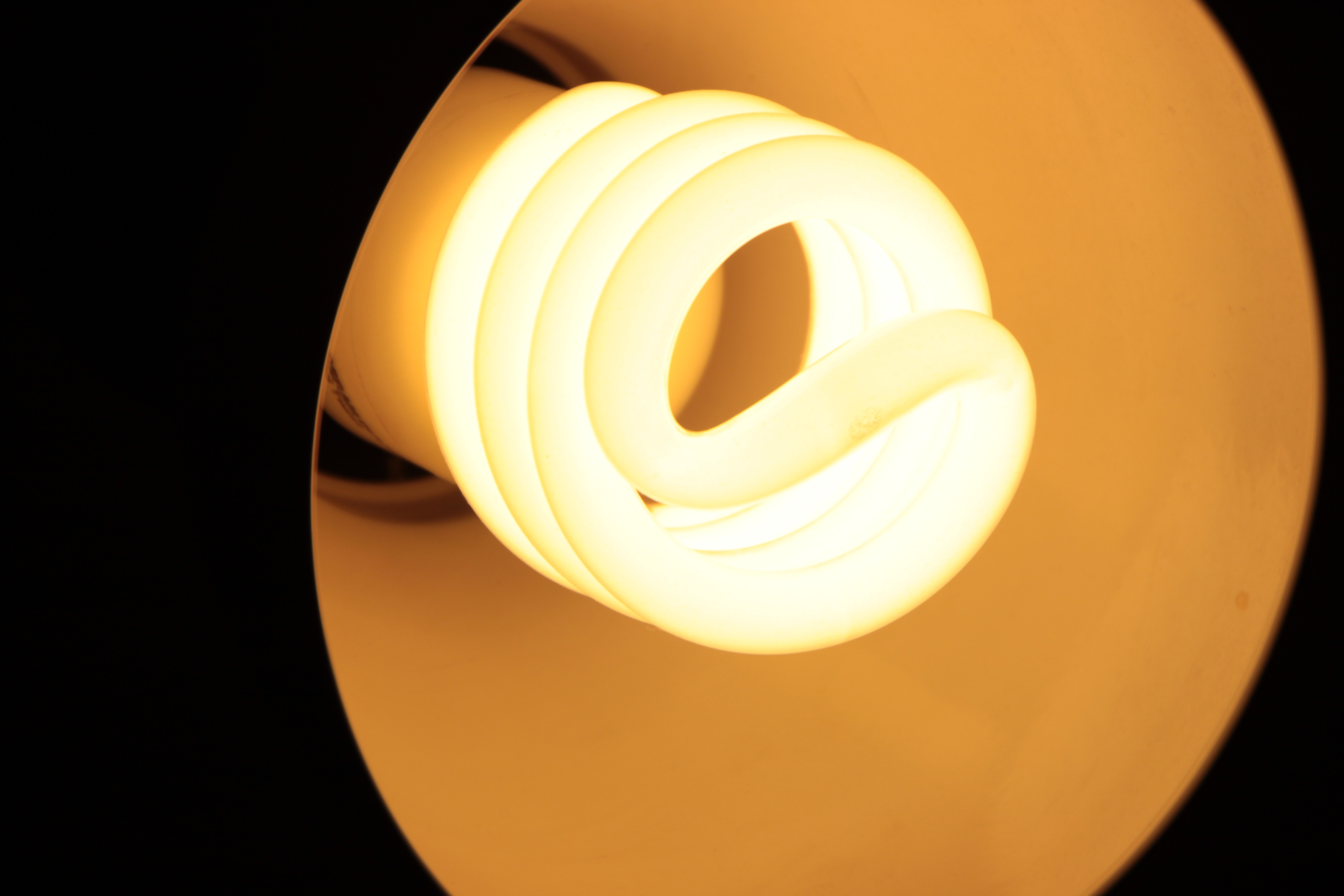 Lighting compact fluorescent lamp in lantern free image download