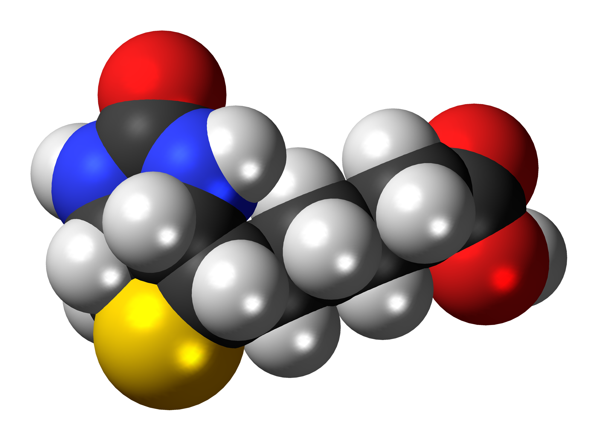 Biotin molecules free image download