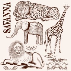 Collection of vector hand drawn savanna animals N2 free image download