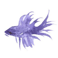 Vector flying fish free image download