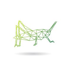 Grasshopper abstract isolated on a white backgrounds vector ...