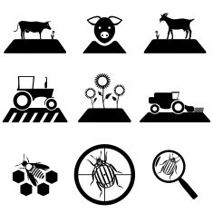 Vector agricultural set free image download