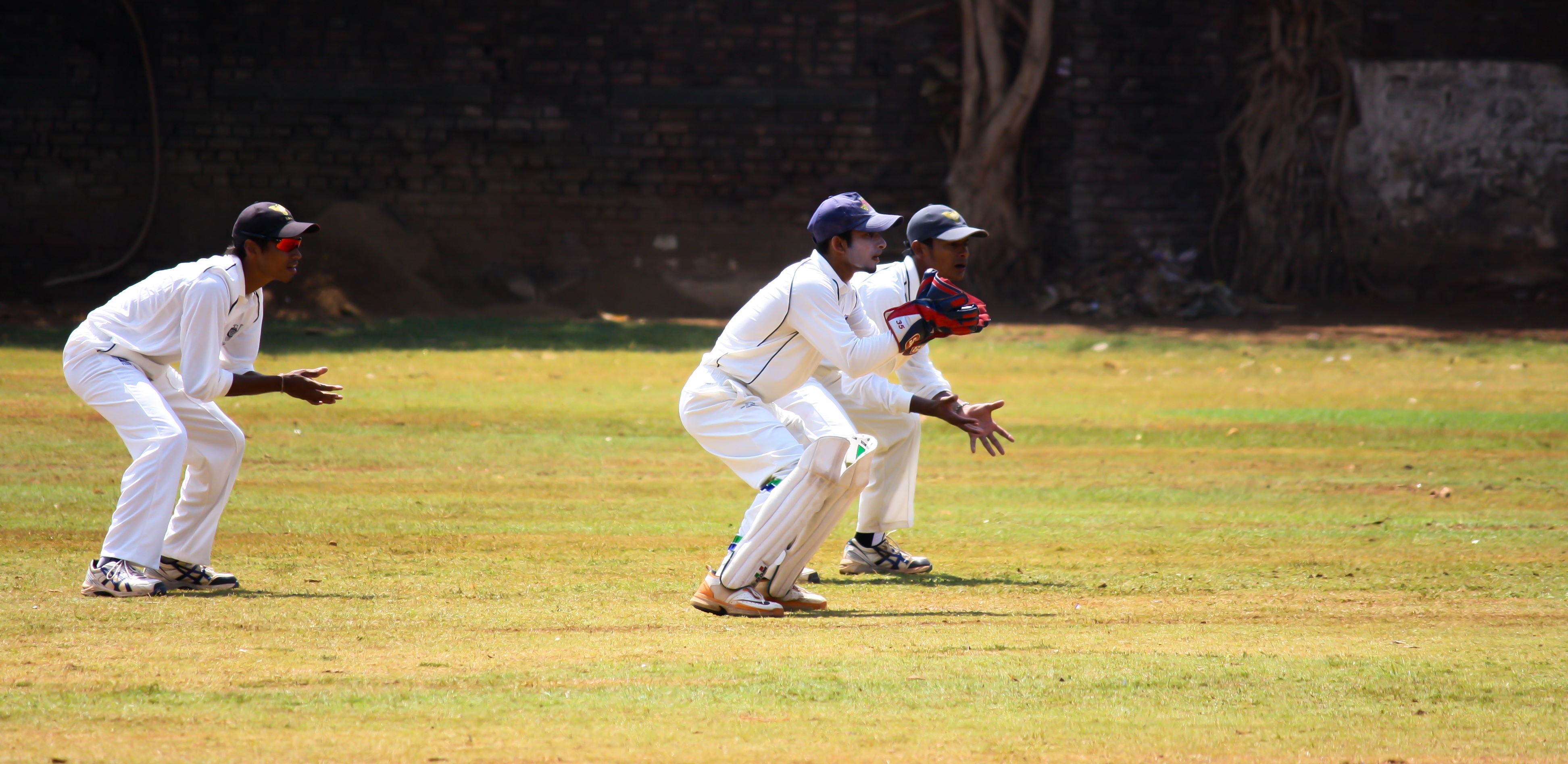 Cricket tournament free image download