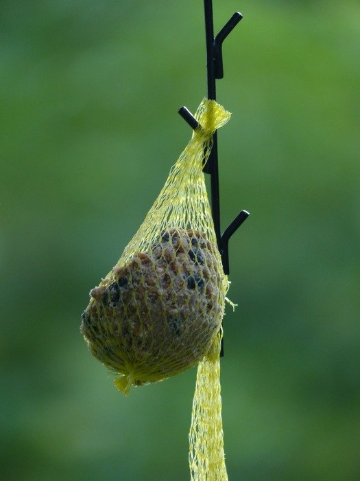 Half-empty fat ball for birds free image download