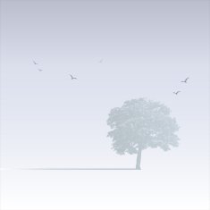 Misty Tree Scene free image download
