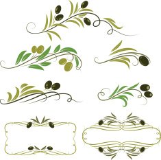 Olive design free image download