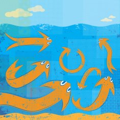 Arrow fish free image download