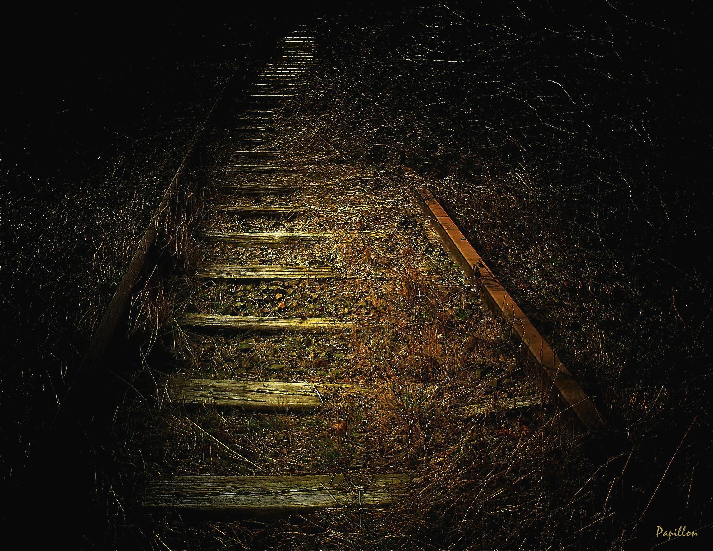 Rusty overgrown railroad tracks free image download