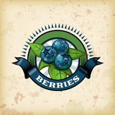 F&B Labels - Blueberries N3 free image download