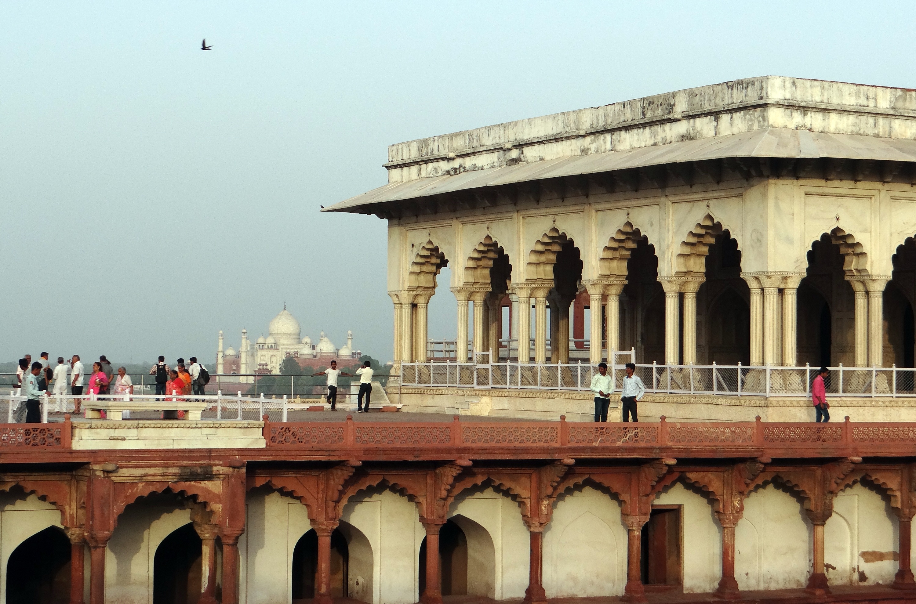 Fort view, india, agra free image download