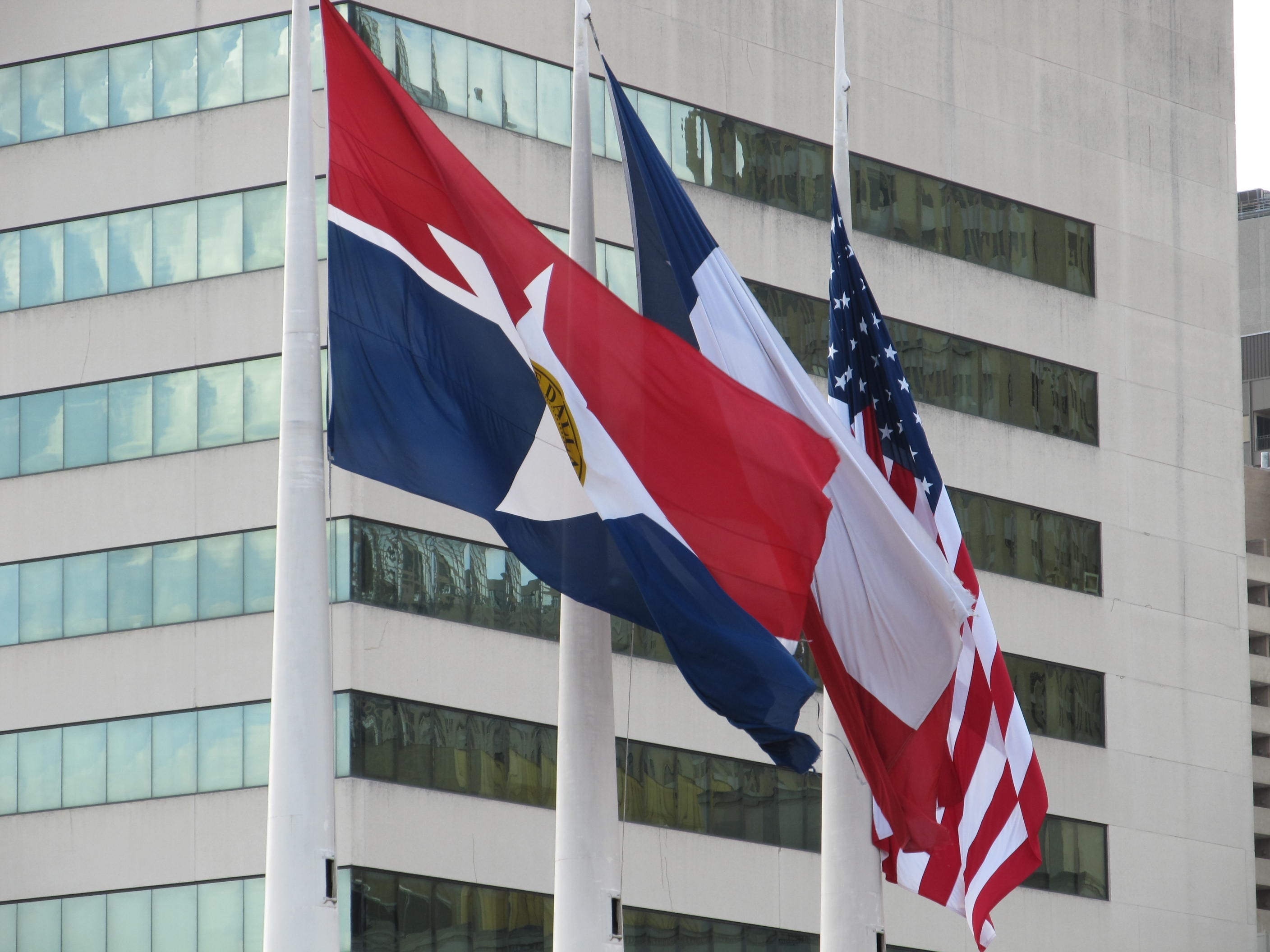 Flags waving near city hall patriotic scene free image download
