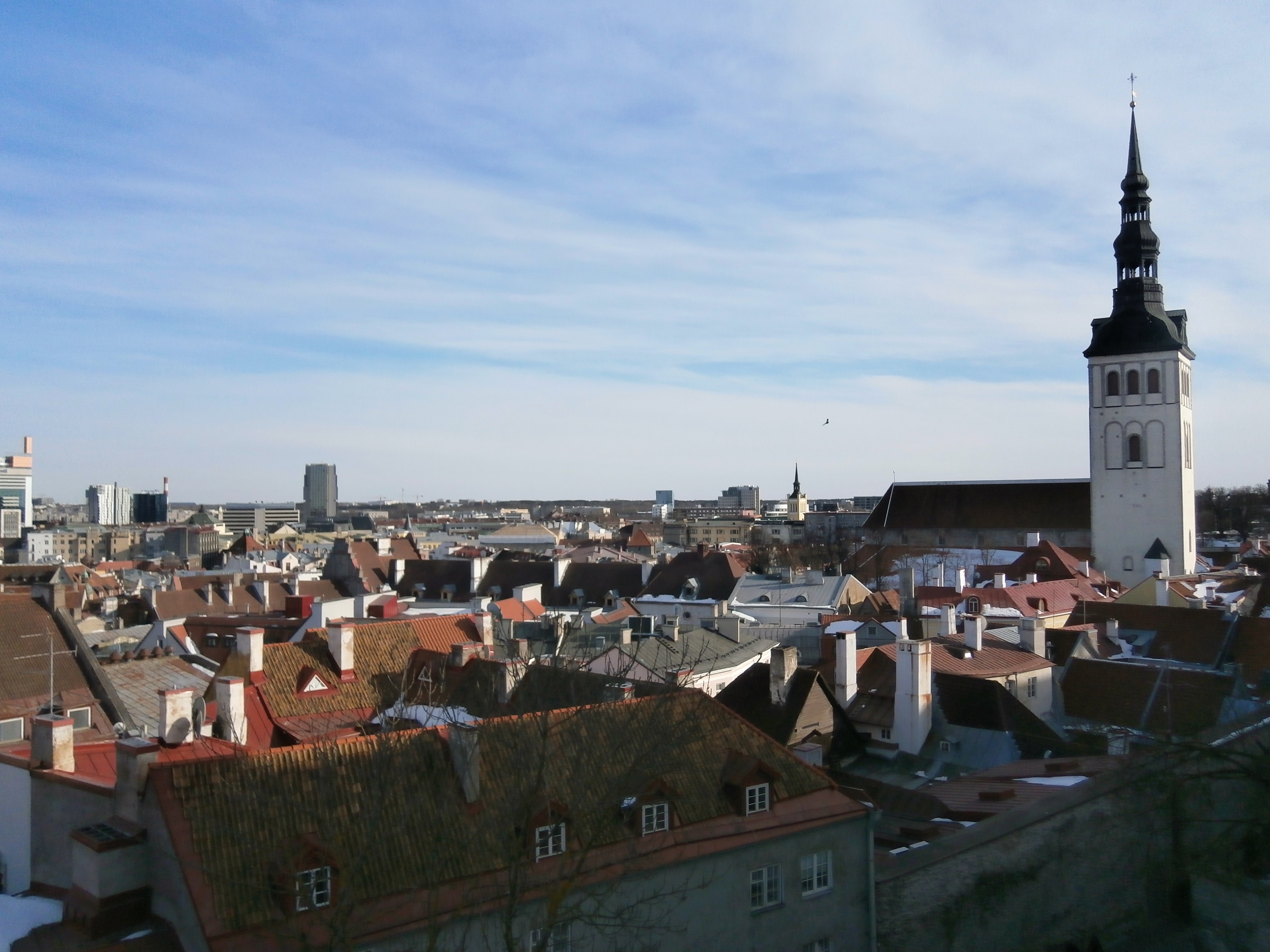 Tallinn city tower roof view free image download