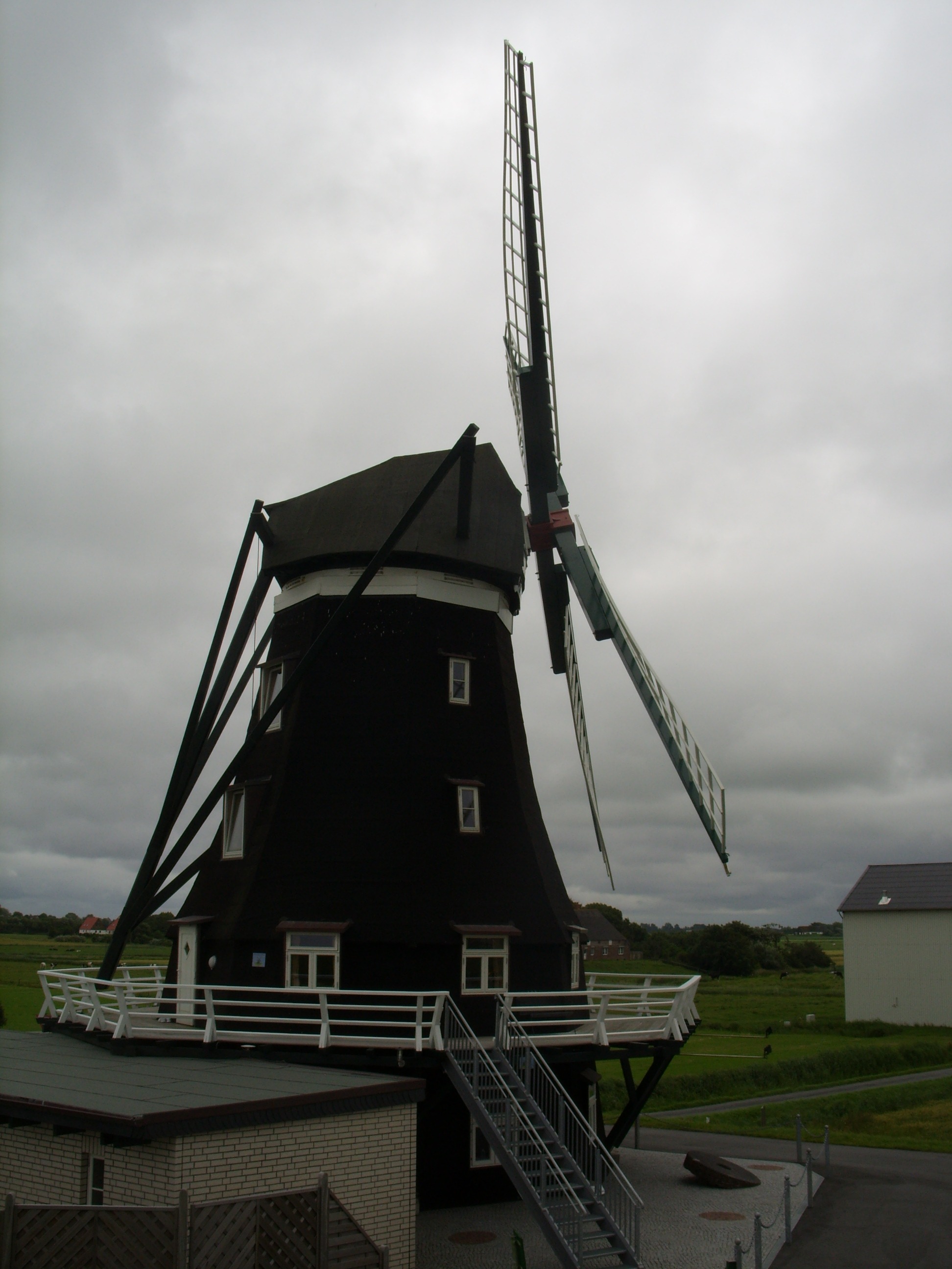 Windmill near the north sea at dusk free image download